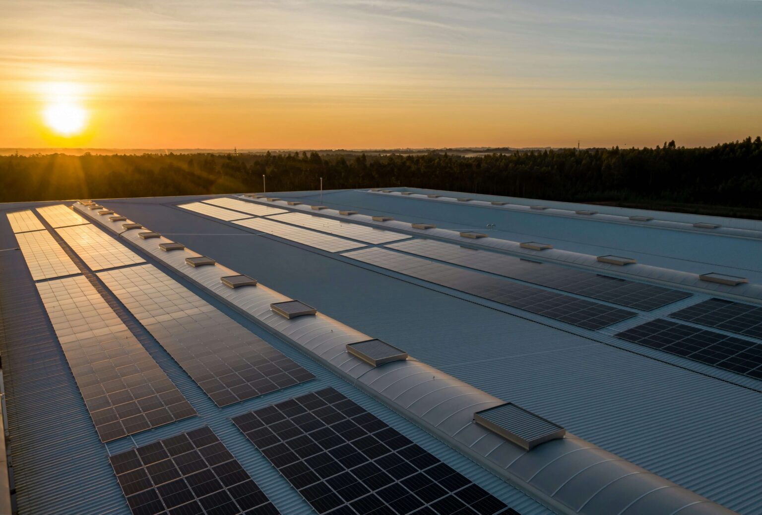 Solar Panel Installation Company in Lubbock, TX | Big Texan Solar